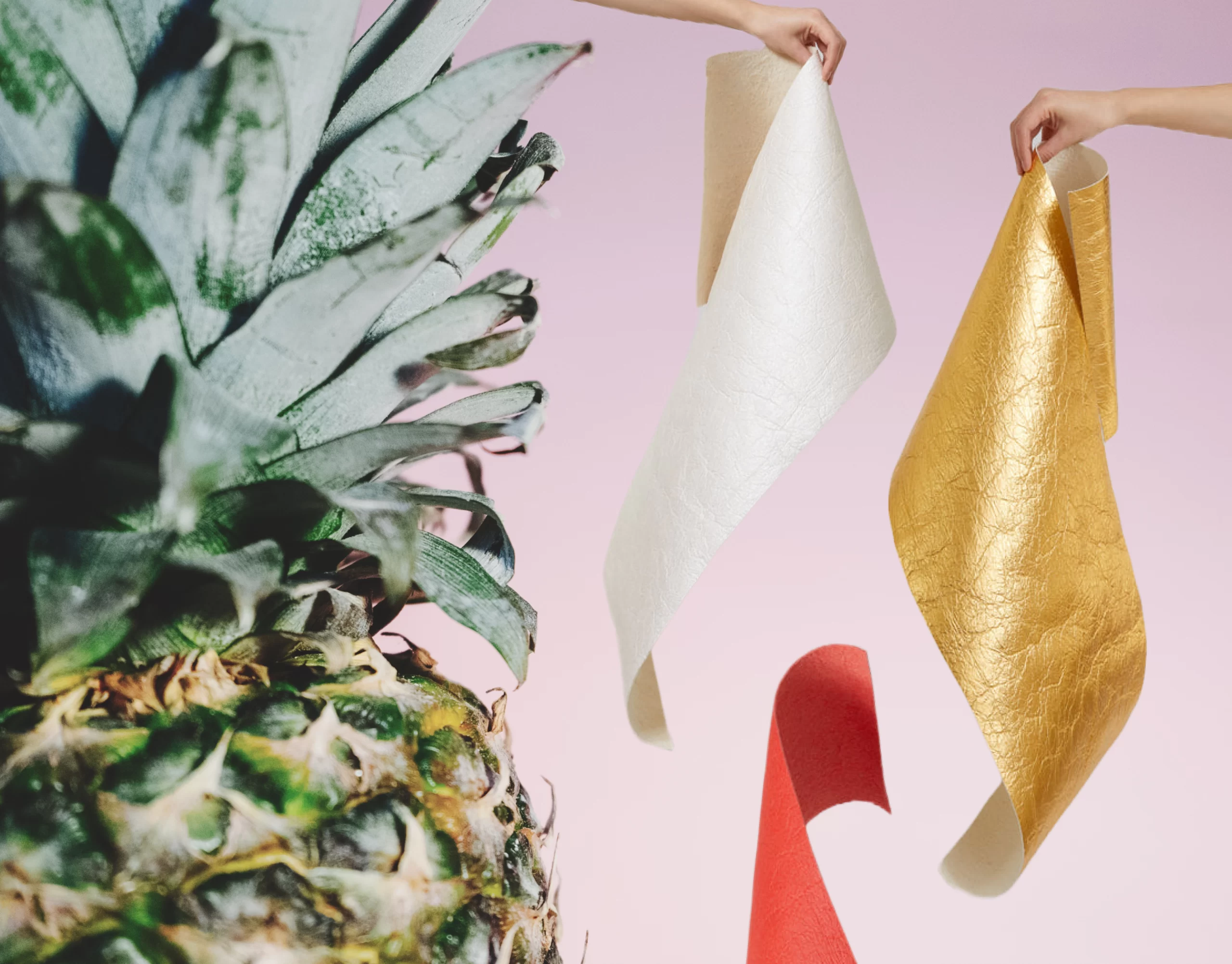 Piñatex: A Sustainable Fabric Revolution - VISION MODE